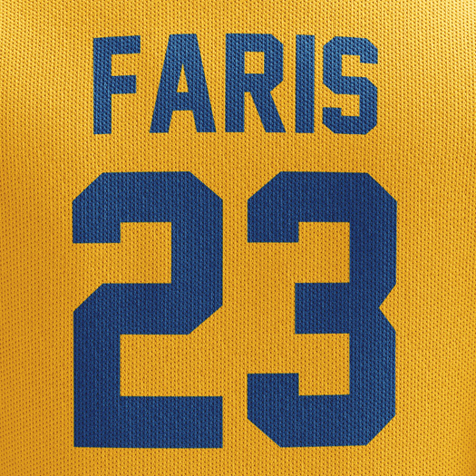 CITY GLIDERS | Second Sons Arts