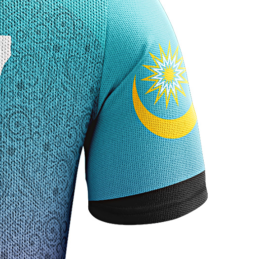 RAGLAN HAWK | Second Sons Arts